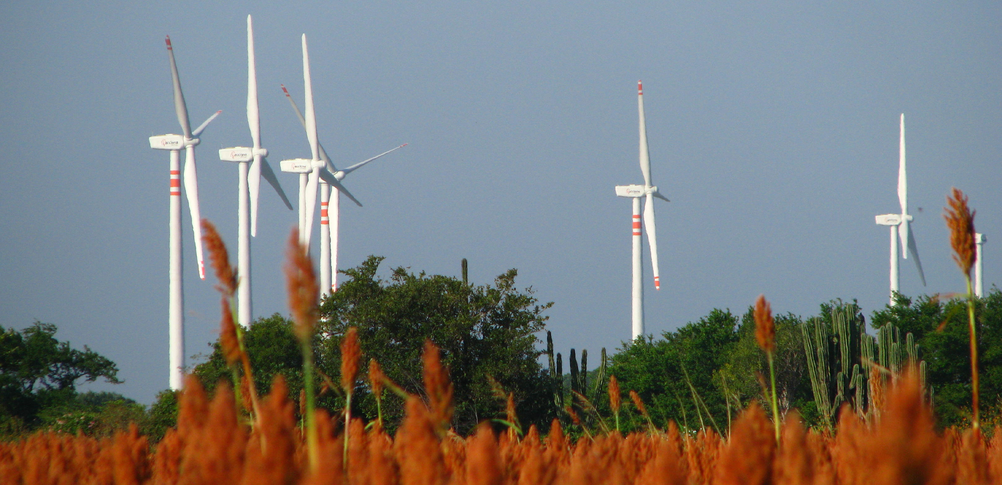 Parque eólico Eurus | ACCIONA | Business as unusual